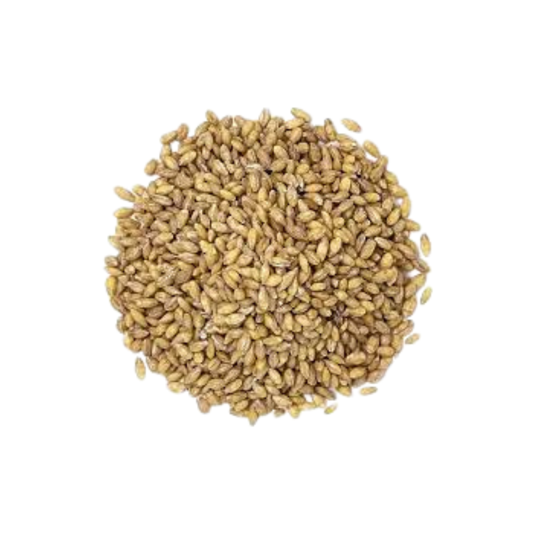 Hulled Whole Barley (통보리) Bulk-50lbs – ROM America